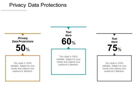 Data Privacy Slide Team