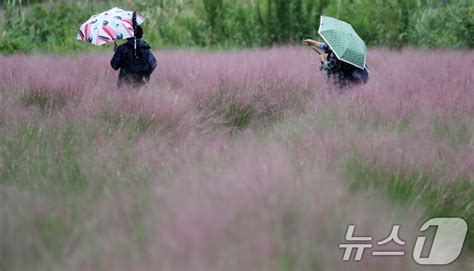 폭염 끝 이젠 가을로