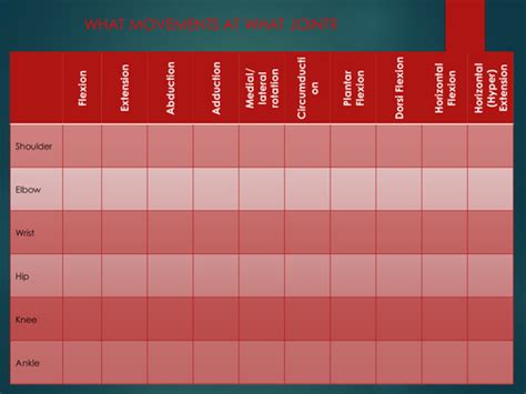 Ocr A Level 2016 Skeletal And Muscular System Teaching Resources