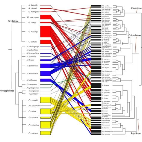 Bipartite Network Graph Of Interactions Between Quill Mite Species Download Scientific Diagram