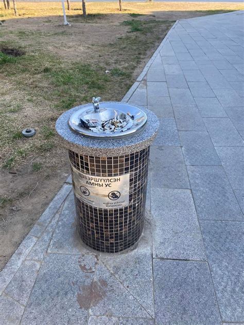 Мэдрэмж On Twitter Нүүр гараа ч угааж болохгүй шүү гээд цэвэршүүлсэн ус тавихад л ийм болгож