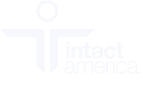 The Hidden Impact Of Circumcision On Dating Sex And Intimacy