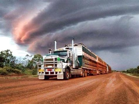 Off Road Train