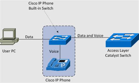 Vlan Types A Detailed Guide To Virtual Lans