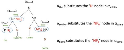 3 Substitutions Happening In The Lexicalised Elementary Trees In 1