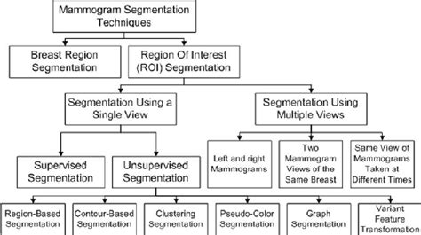Categorizations Of Mammogram Image Segmentation Techniques Download Scientific Diagram