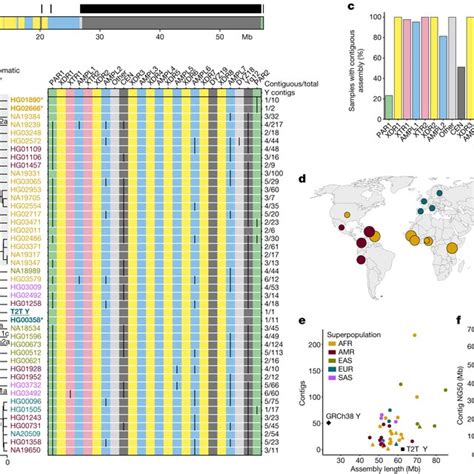 De Novo Assembly Outcome A The Structure Of The Human Y Chromosome On