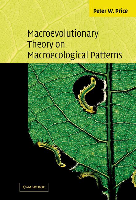 Macroevolutionary Theory On Macroecological Patterns