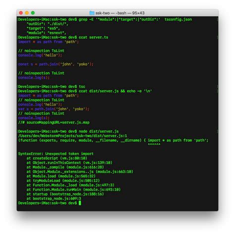 Class Programmer Implements Anicehumble Person React Typescript