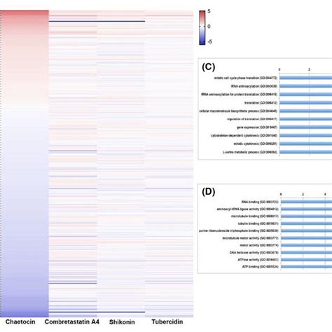 Transcriptome Analysis Of New Natural Compound‐treated Sclc Cells A