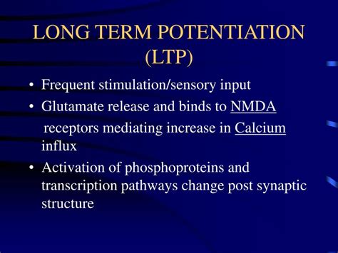 PPT MEMORY PowerPoint Presentation Free Download ID