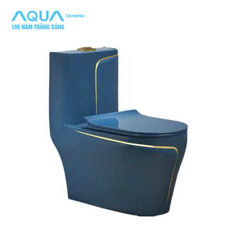 BỒn CẦu Aqua