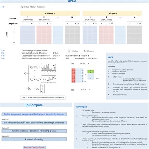 Schematic Overview And Stepwise Algorithm Of A Dpca An Algorithm