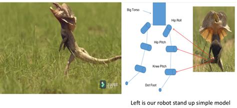 Quadruped Robot Walking Like Lizard With Two Point Feet Cuhk Legged