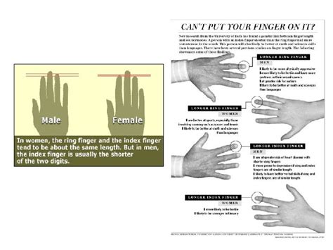 Chapter Sexual Orientations Sexual Orientation Sexual Orientation