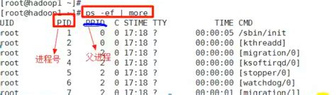 Linux之进程管理 腾讯云开发者社区 腾讯云