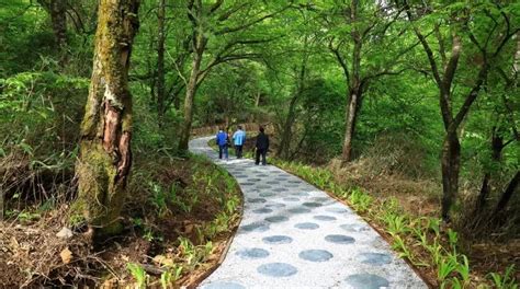 巴中光雾山大坝康养大道修建性规划设计及实施 经典案例