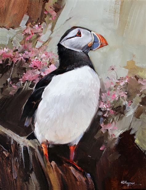Puffin Alan B Hayman