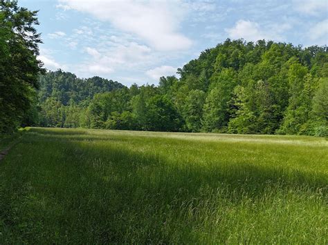 9999 Jackie Bratcher Rd Manchester Ky 40962 Zillow