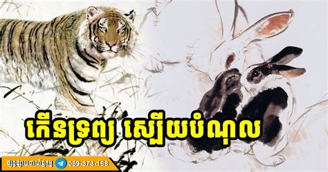 ឆ្នាំទាំង ៣ ៩០ថ្ងៃបន្ទាប់ កើនទ្រព្យ ស្បើយបំណុល Knongsrok