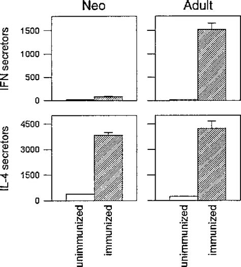 Figure 1 From Lymph Nodes Of Murine Neonates Spleens But Mixed Th 1