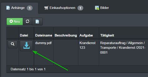 Quickie Modify Download Button Appgini Helper