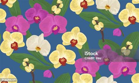 파란색 배경에 분홍색과 노란색 난초 꽃의 식물학적인 매끄러운 패턴 빈티지 꽃 벡터 일러스트레이션 질감에 대한 스톡 벡터 아트 및 기타 이미지 Istock