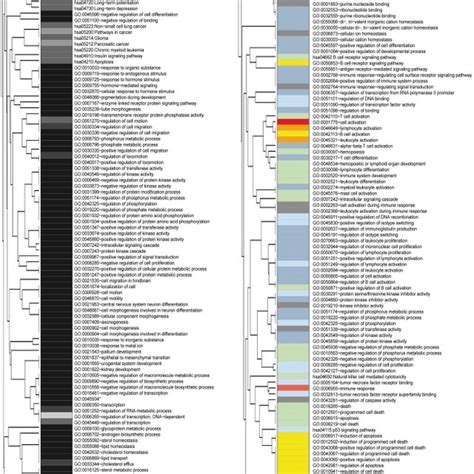 Visualization Of The Similarity Of Functional Annotations That Were Download Scientific Diagram