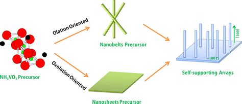 Schematic Formation Illustration Of The Oriented Alignment Of Nanobelts Download Scientific