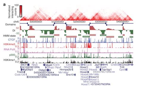 三维基因组学研究的是什么？什么是 Hi C 技术？为什么 Hi C 技术这么火？ 知乎