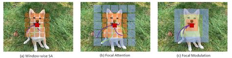 Review — Focalnet Focal Modulation Networks By Sik Ho Tsang Medium