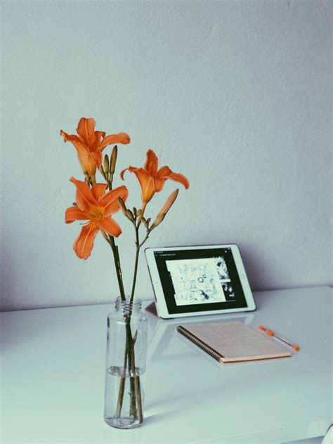 실내 고요한 공책 기기 기술 깔끔한 깨끗한 꽃꽂이 꽃무늬 꽃병 단순한 독창성 디자인 디지털 디지털 태블릿 라이프스타일 문구 미니멀리스트
