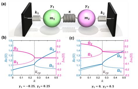 A A Coupled Oscillator Dimer With Differential Damping The Green