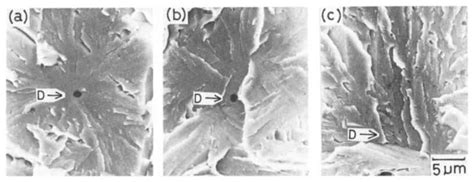 Microscopic Features Of The Brittle Fracture Initiation Sites Download Scientific Diagram