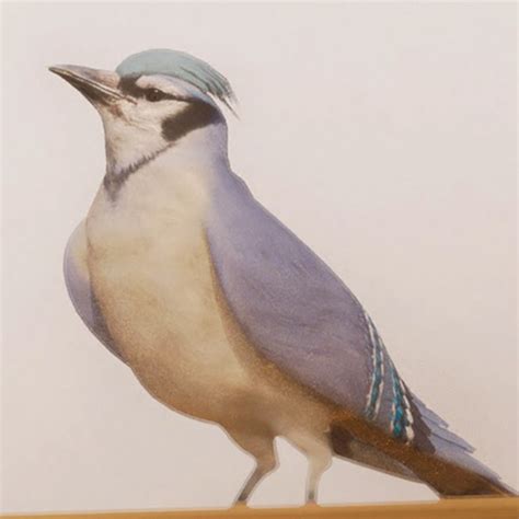 Finding Unity YouTube