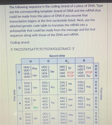 Solved The Following Sequence Is The Coding Strand Of A Chegg