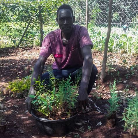 Africaworkpower On Linkedin Codinggreen Conservingnature Coding Programming Developer