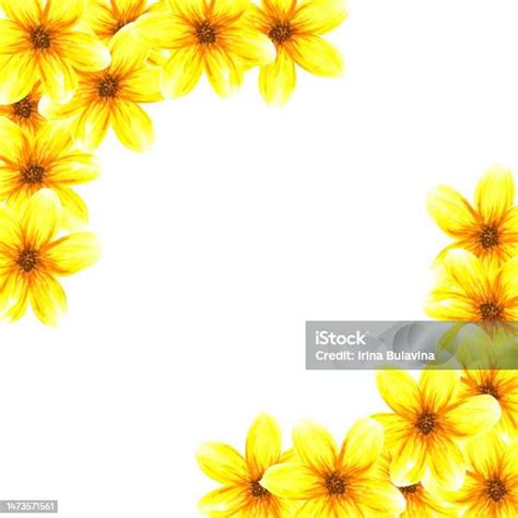 꽃 프레임입니다 수채화 추상 밝은 여름 노란색 꽃과 나뭇잎 흰색 배경에 격리된 개체 0명에 대한 스톡 벡터 아트 및 기타 이미지 0명 개화기 꽃 나무 Istock