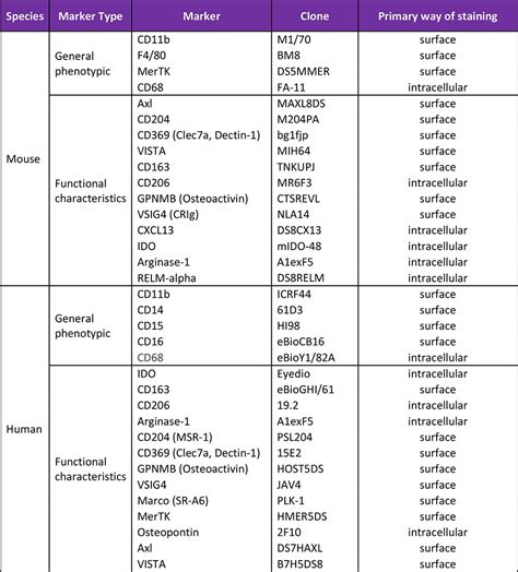 Macrophages By Flow Cytometry New Insights Through Novel Antibody Reagents Behind The Bench