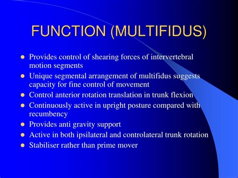 Ppt Function Transversus Abdominus Powerpoint Presentation Free