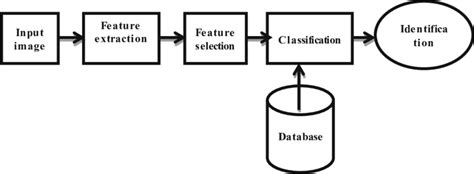 A General Block Diagram Of A Gait Recognition System Download Scientific Diagram