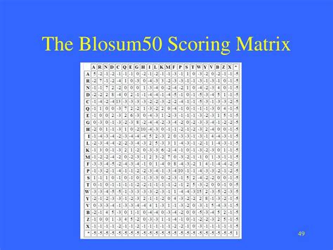 Ppt Dynamic Programming Method For Analyzing Biomolecular Sequences Powerpoint Presentation