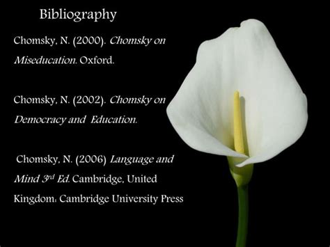 Language Development Pptx