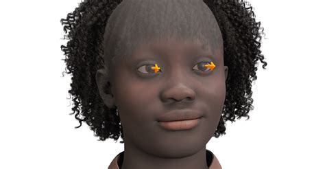 synthetic data visualizer synthesis ai