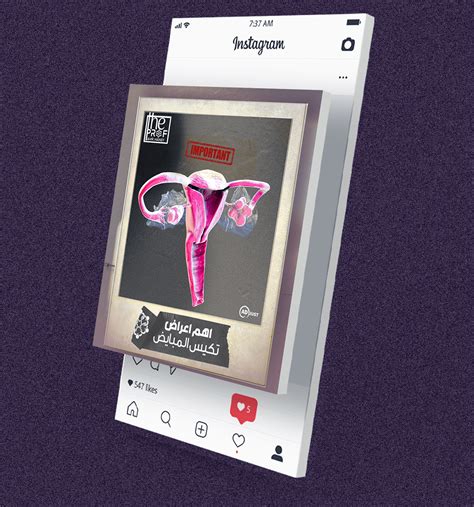 Prof Amr Mansy Behance