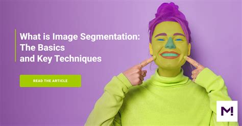 What Is Image Segmentation The Basics And Key Techniques Mindy