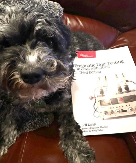 Jeff Langr Thanks For Sharing The Pic Of Luna With Your Book The Pragmatic Programmers