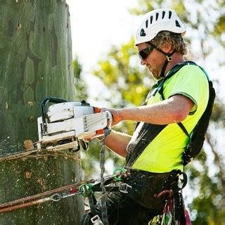 ADELAIDE TREE REMOVALS Project Photos Reviews Hove SA AU AU Houzz