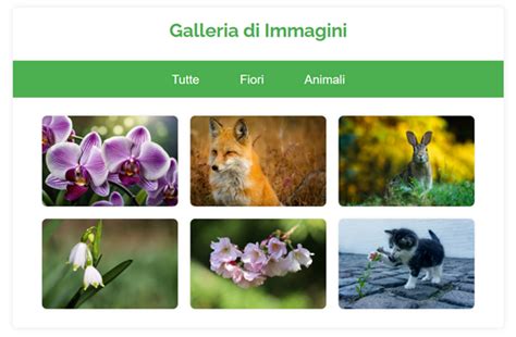 Galleria Di Immagini Con Filtri In JavaScript Gallery JS