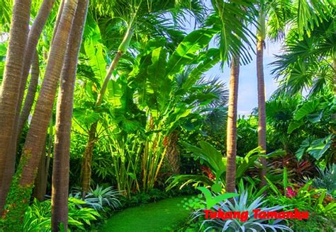 Model Taman Tropis Inspirasi Desain Taman Perkotaan
